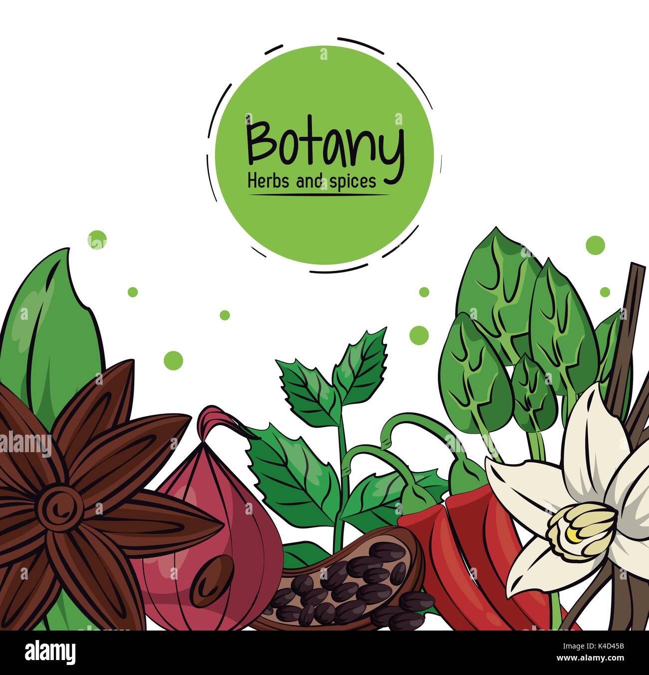 Botany herbs and spices Stock Vector Image & Art - Alamy