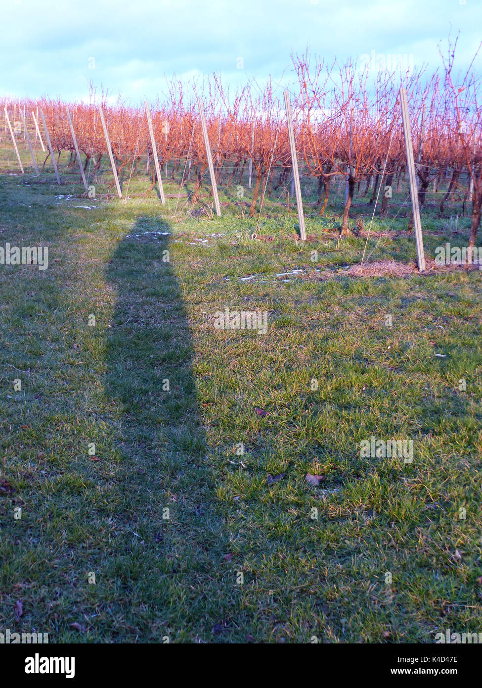 Persons human human hi-res stock photography and images - Alamy