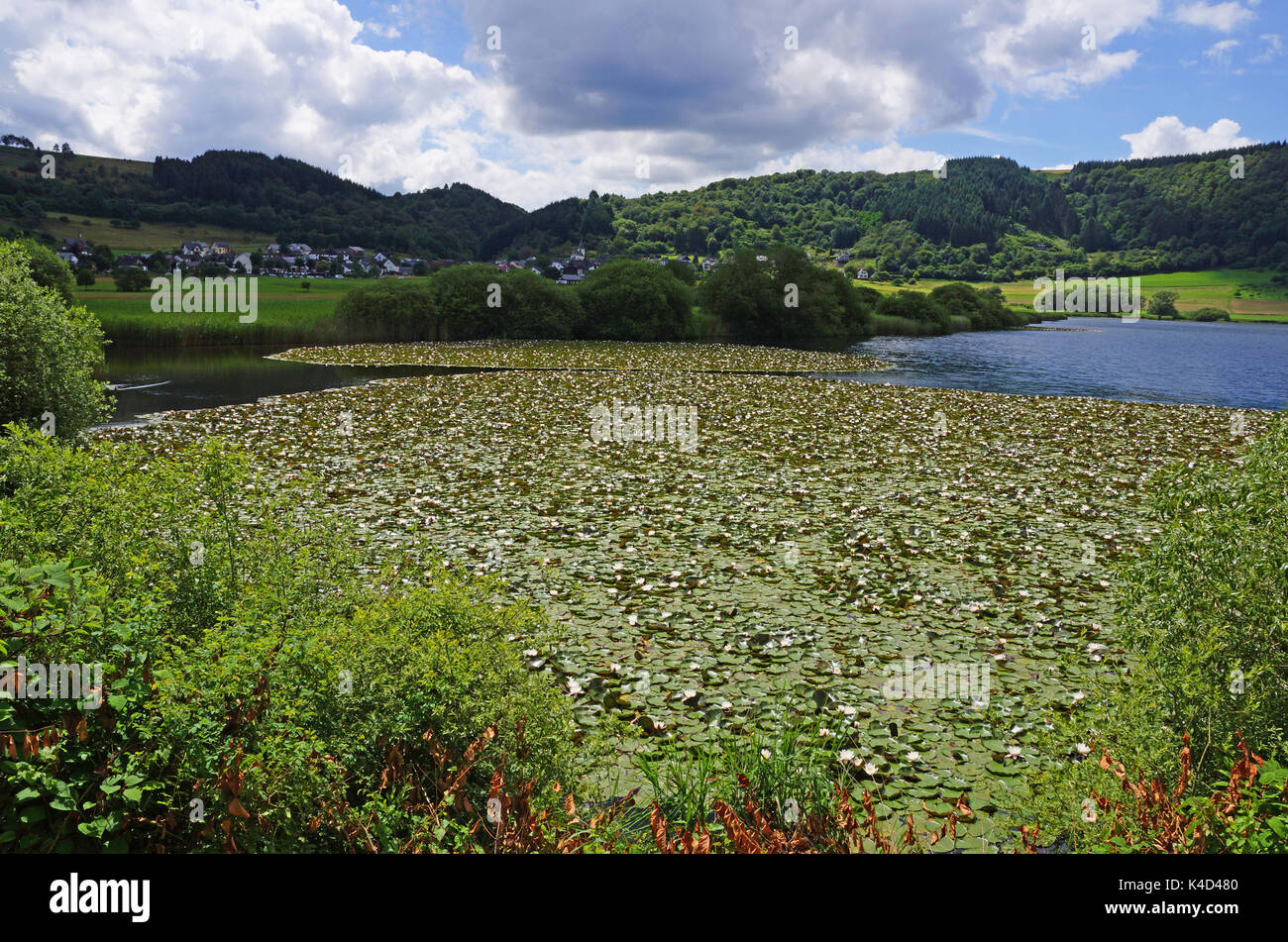 Meerfeld Maar In Volcano Eifel Stock Photo - Alamy