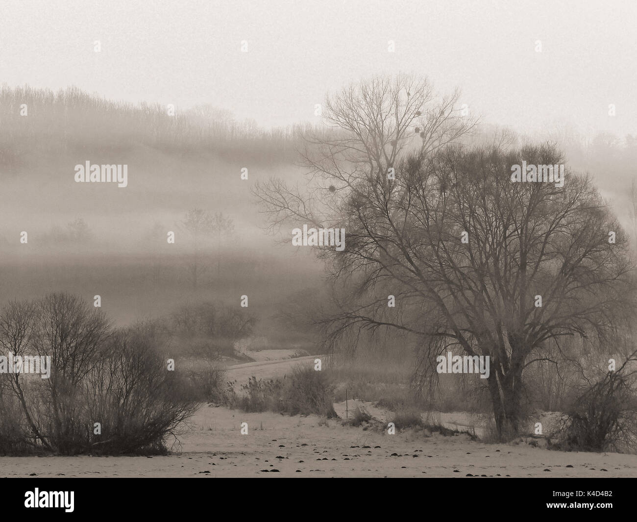 River valley fen near ammersee hi-res stock photography and images - Alamy