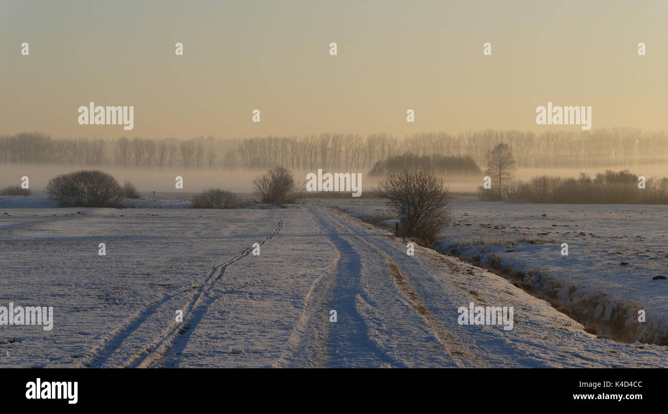 River valley fen near ammersee hi-res stock photography and images - Alamy