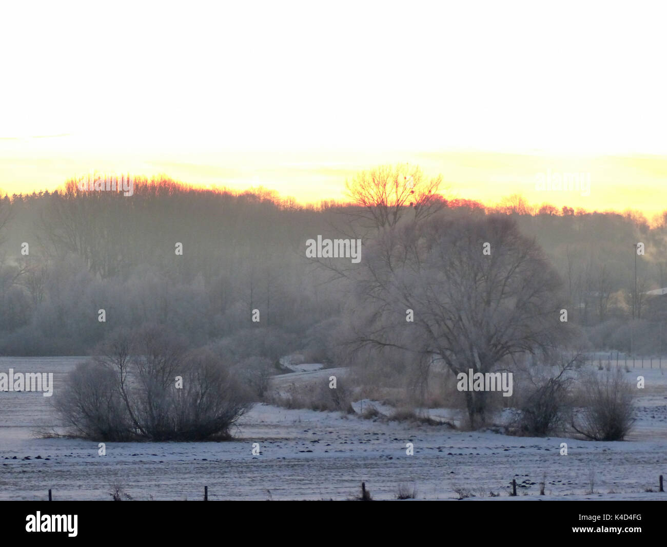 Fen landscape hi-res stock photography and images - Alamy