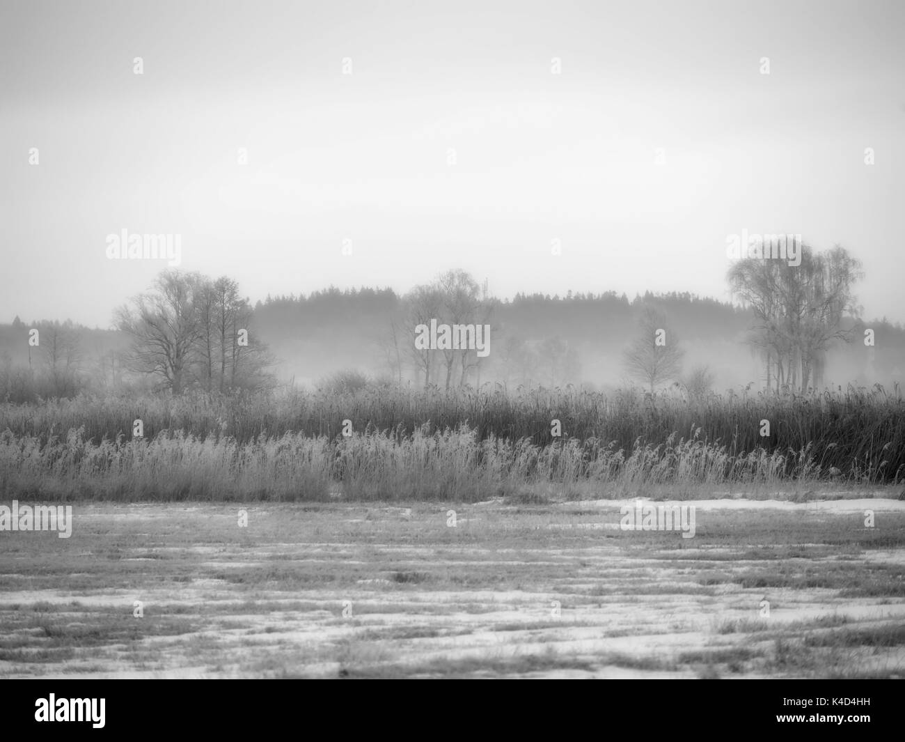 Fen landscape hi-res stock photography and images - Alamy