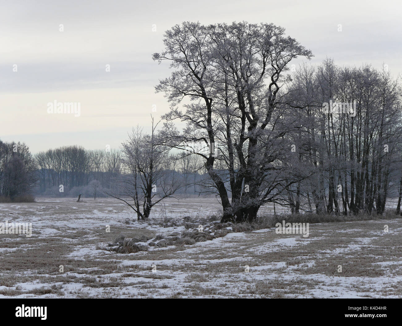 River valley fen near ammersee hi-res stock photography and images - Alamy