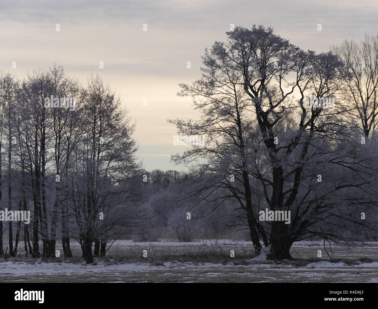 Scary landscape hi-res stock photography and images - Alamy