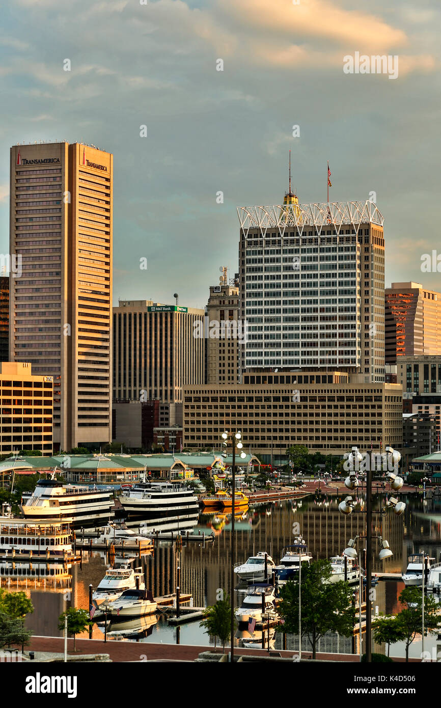 Inner structures hi-res stock photography and images - Alamy