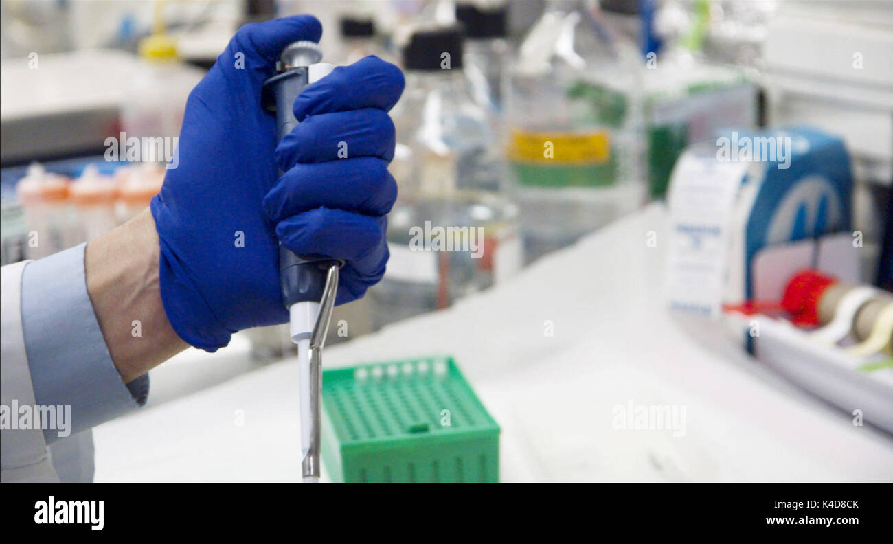 SPECIAL BLOOD, 2016. ©Tugg/courtesy Everett Collection Stock Photo - Alamy
