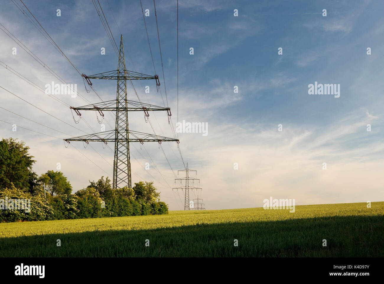A power line crossing a field on a hill and some trees Stock Photo - Alamy
