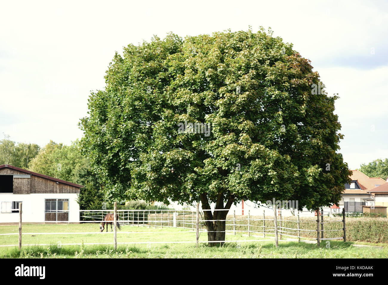Horse stables wooden doors hi-res stock photography and images - Alamy