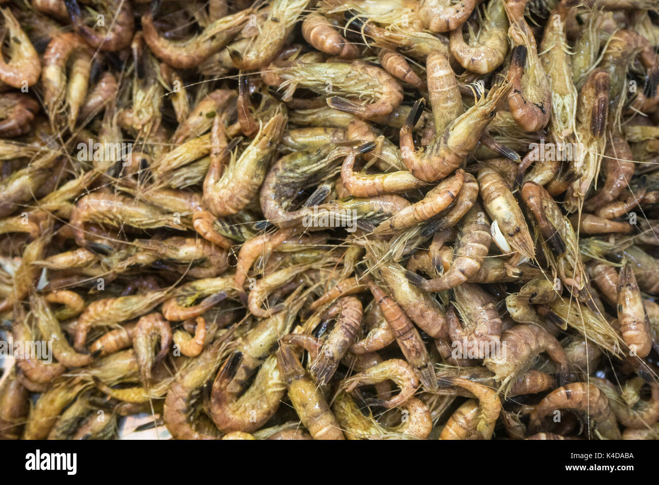 Crevettes Stock Photos & Crevettes Stock Images - Alamy