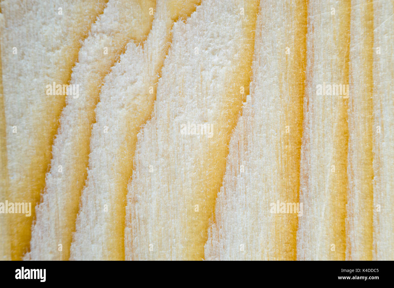 Natural wooden texture. Close-up shot of sawn timber as background ...