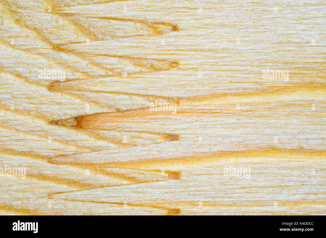 Macro shot of the joint of glued sawn timber. A fragment of a wooden ...