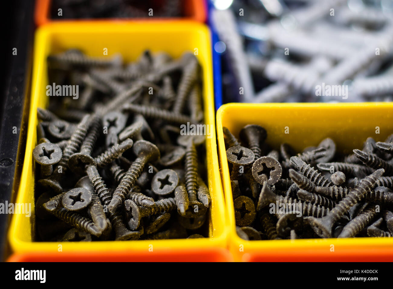 Screws segregated in plastic colored containers. Box for builder and ...