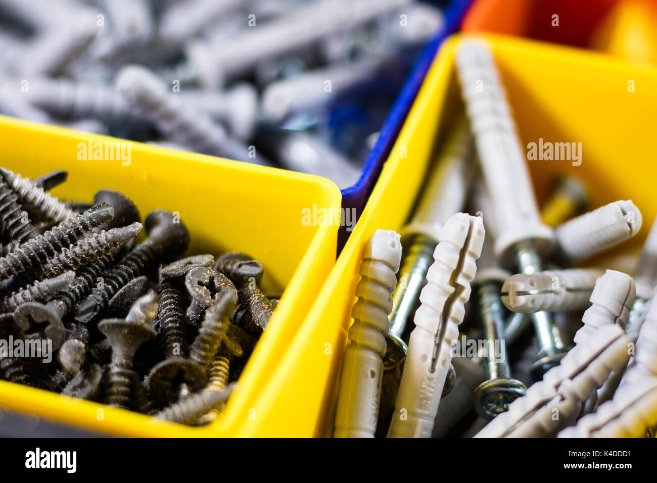 Screws segregated in plastic colored containers. Box for builder and ...