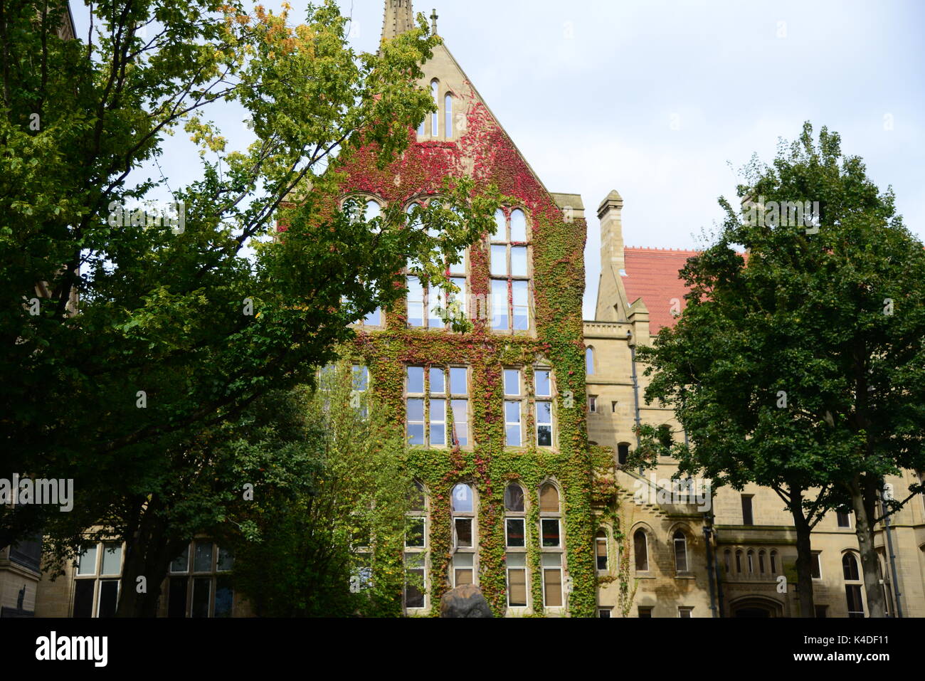 Undergraduates courses hi-res stock photography and images - Alamy