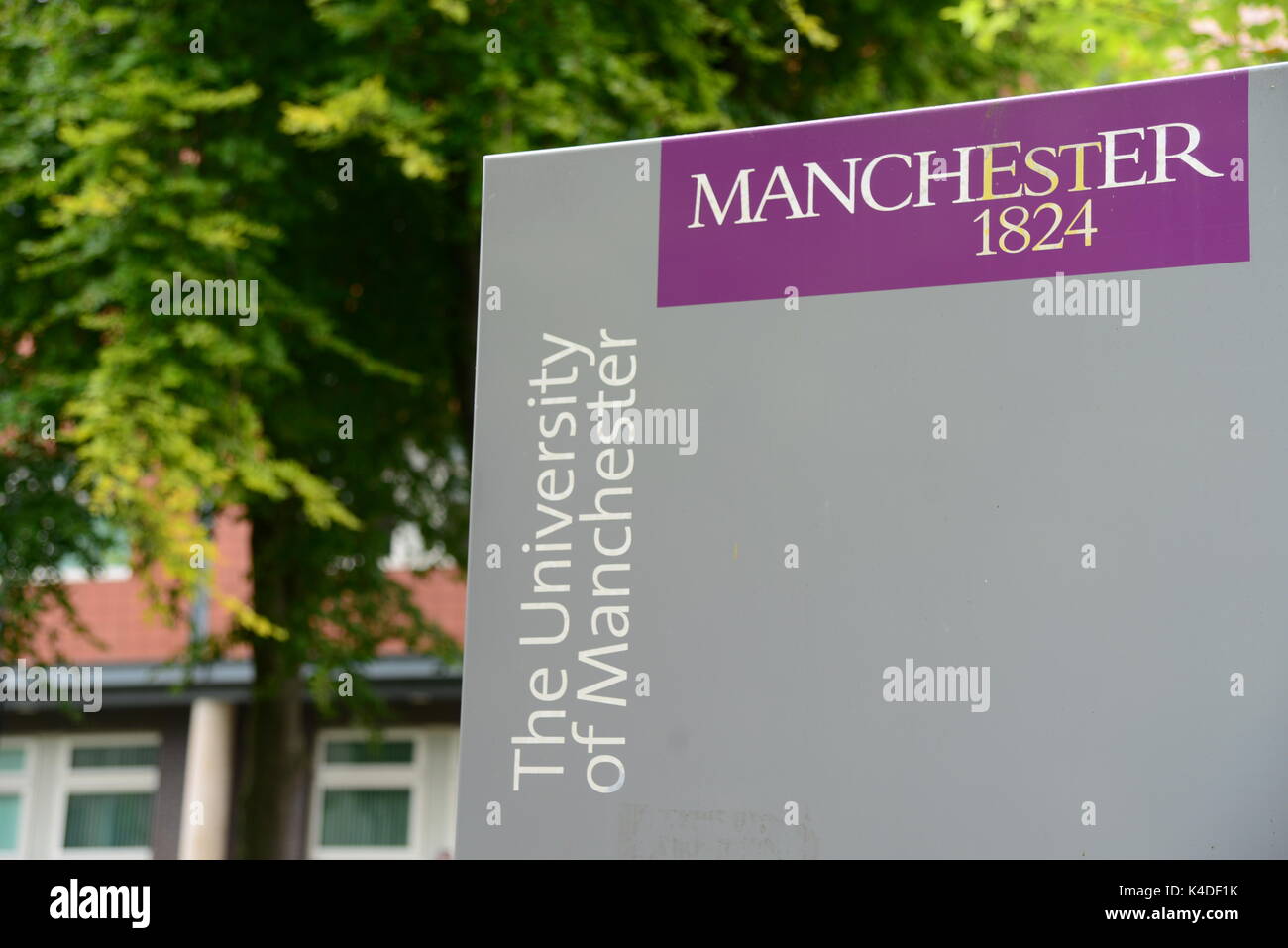 University of Manchester Stock Photo - Alamy
