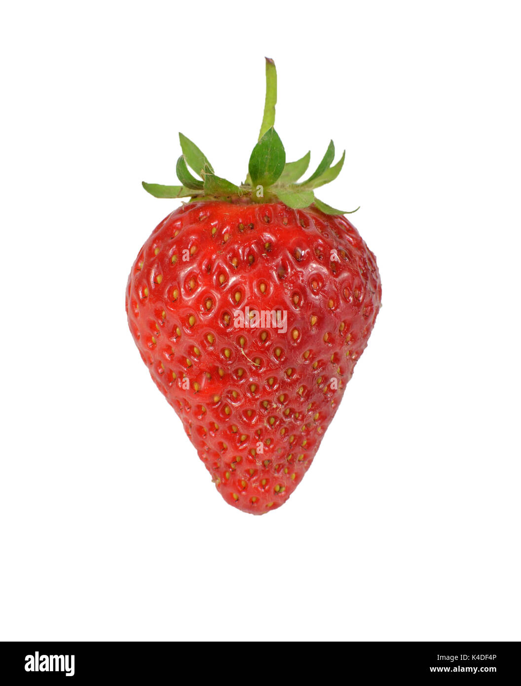Red fresh appetizing natural strawberry Cut Out Stock Images & Pictures ...