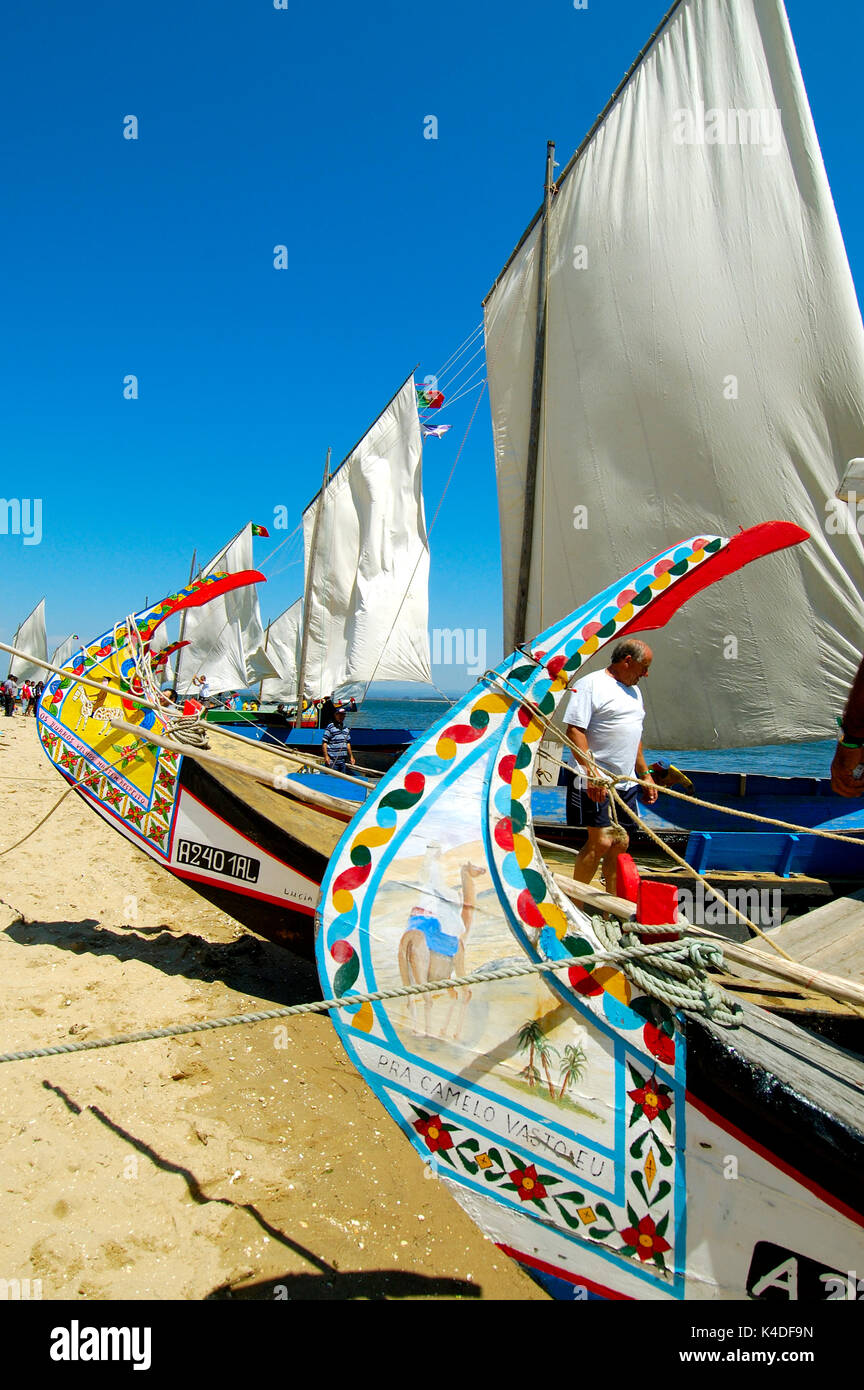 Regatta of traditional boats, moliceiros, of the Aveiro river (ria de ...
