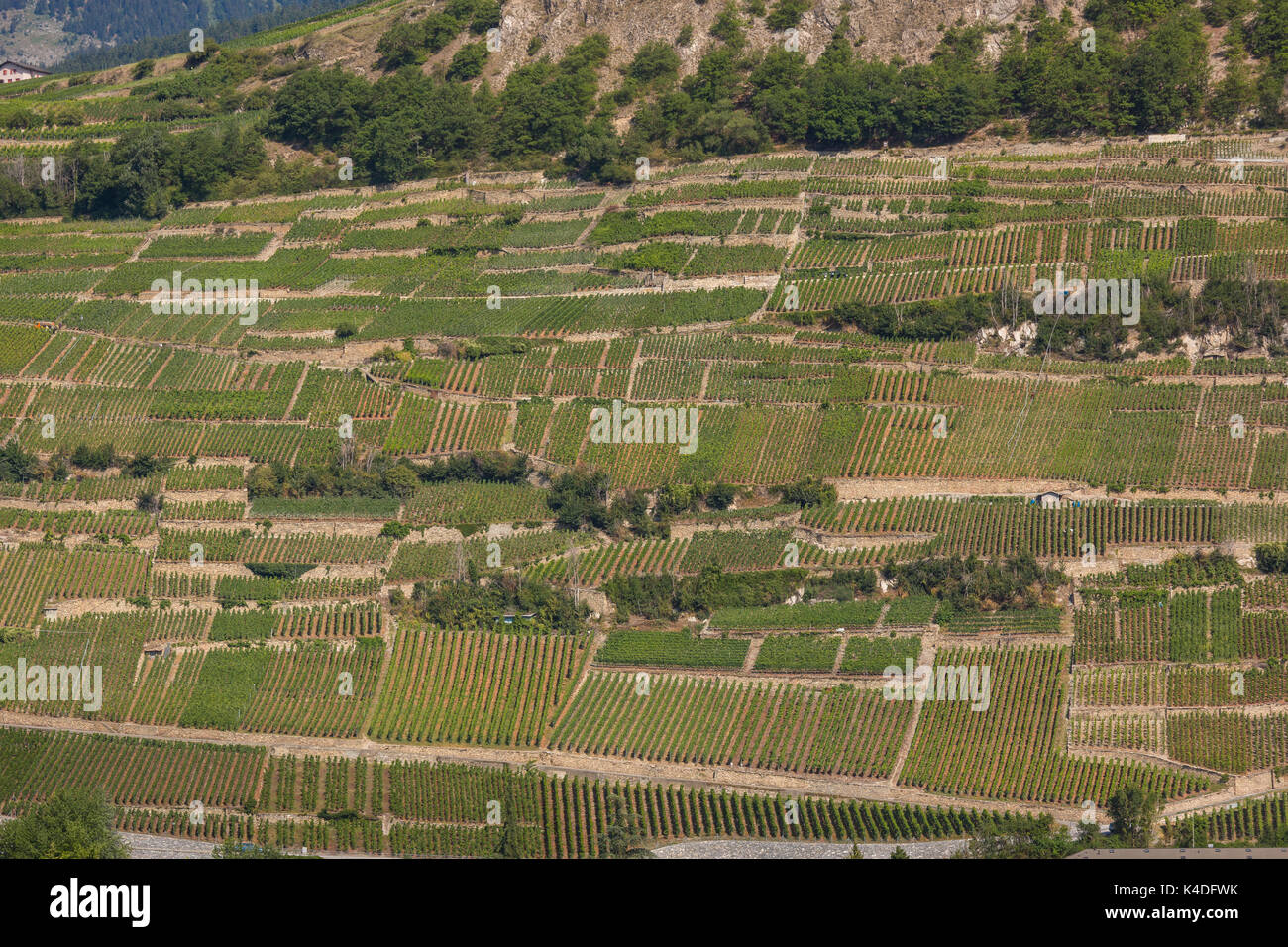 Swiss farming region hi-res stock photography and images - Alamy