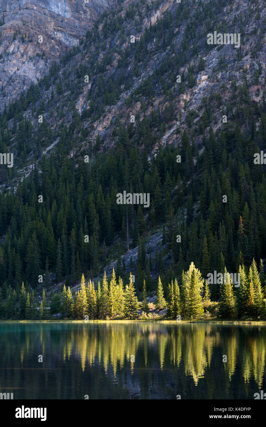 Reflections at Waterfowl Lake Campground in Banff National Park ...