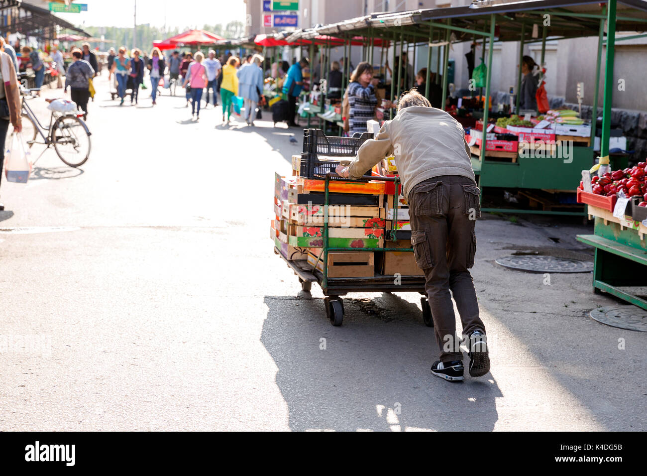 Man pushing market trolley hi-res stock photography and images - Alamy