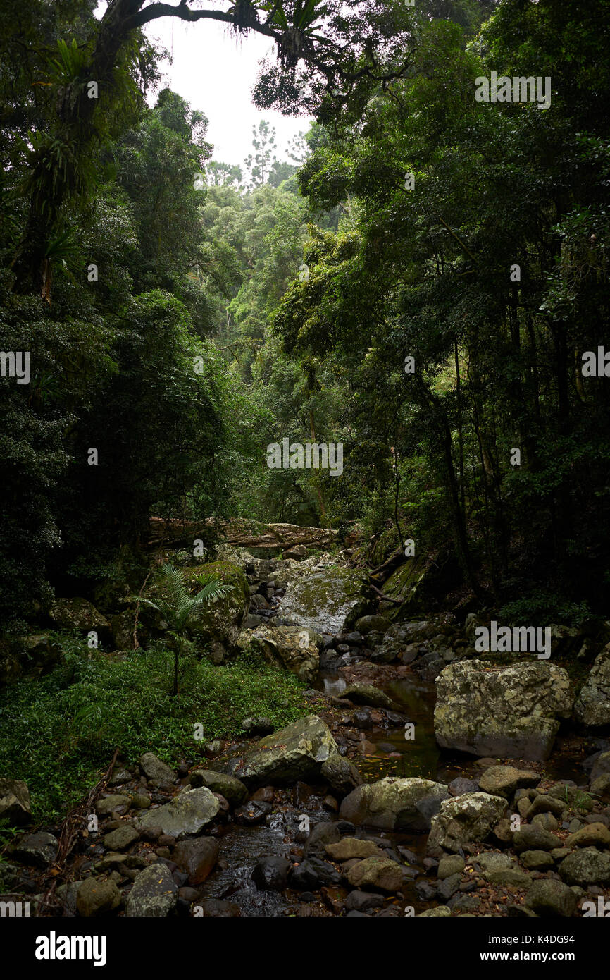 Green hell forest hi-res stock photography and images - Alamy