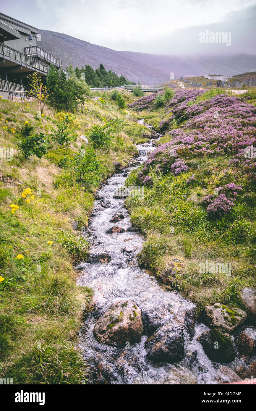 Scottish Streams High Resolution Stock Photography and Images - Alamy