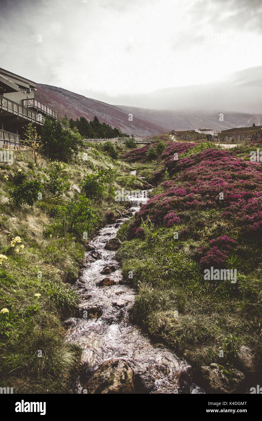 Scottish streams hi-res stock photography and images - Alamy