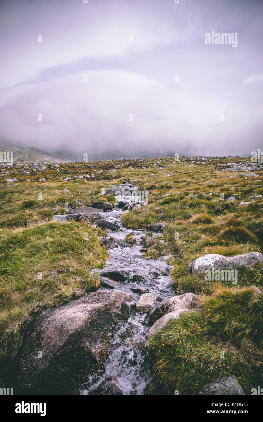 Scottish streams hi-res stock photography and images - Alamy