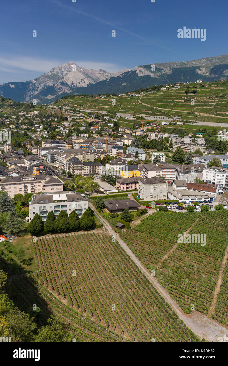 Aerial vineyard aerial view hi-res stock photography and images - Alamy