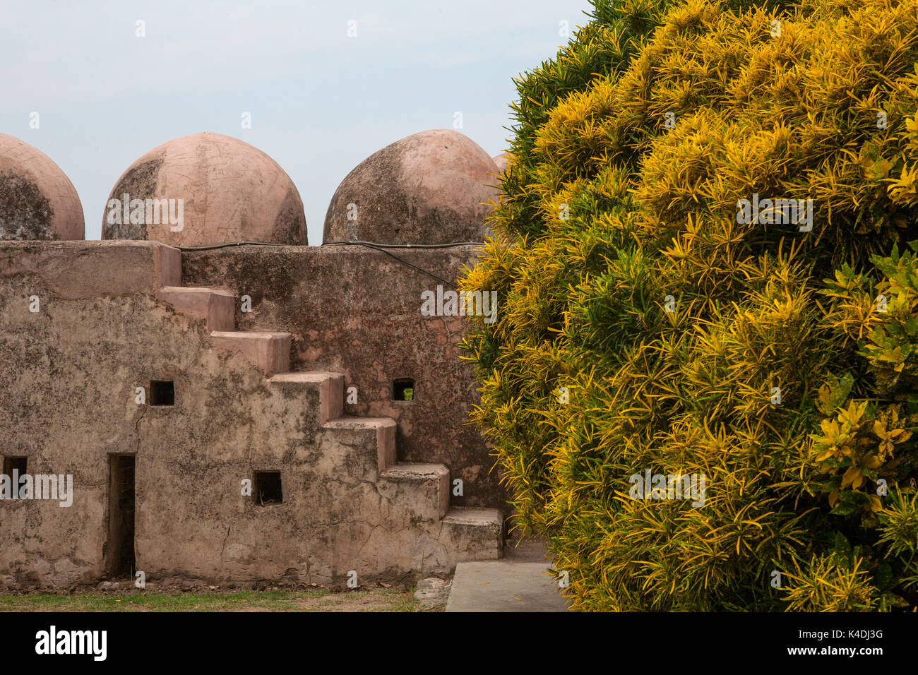 Pinjor gardens (Yadavindra gardens), built for the harem of the ruler ...
