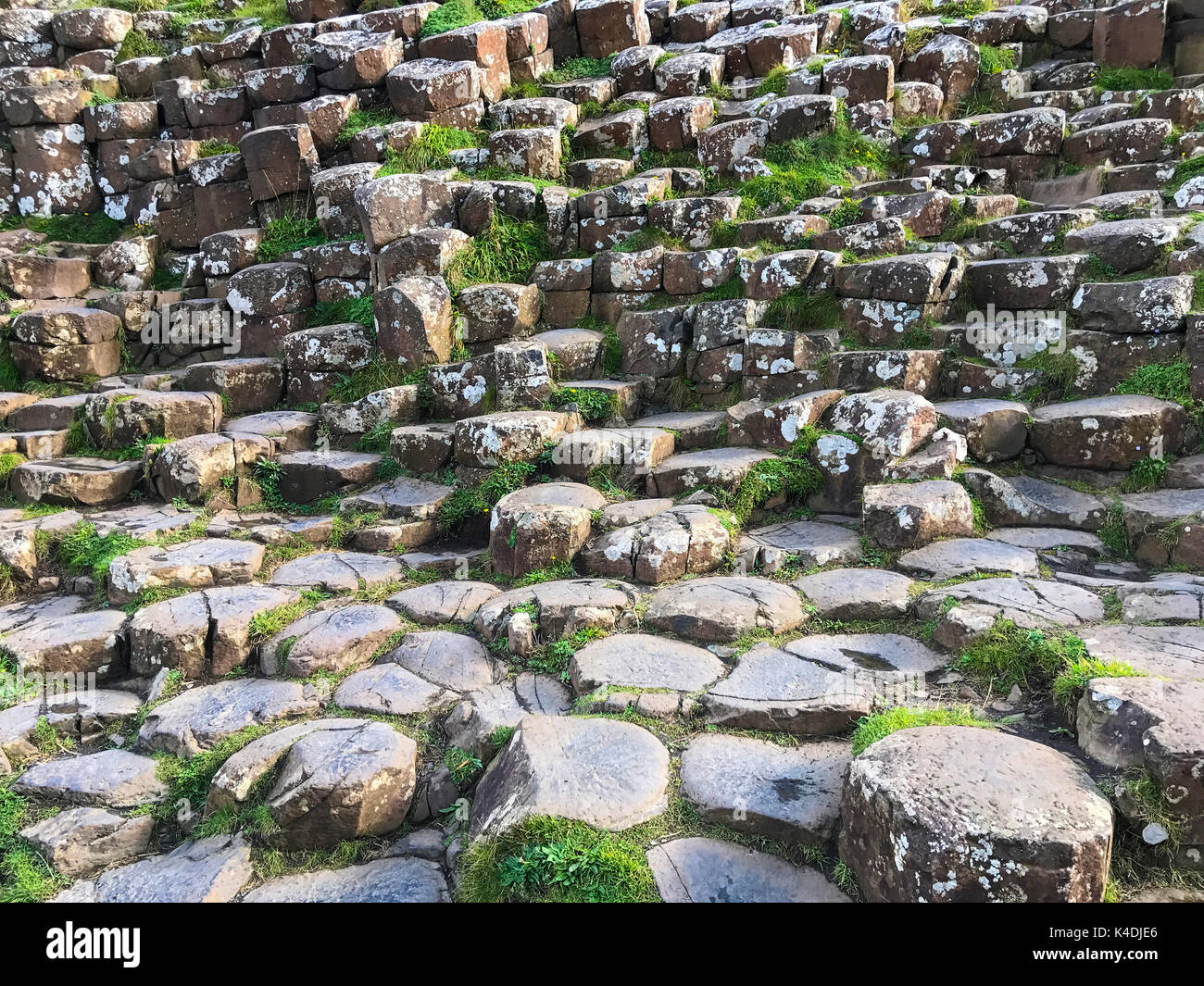 Beautiful scenery with basalt columns sticking out of the ground at ...