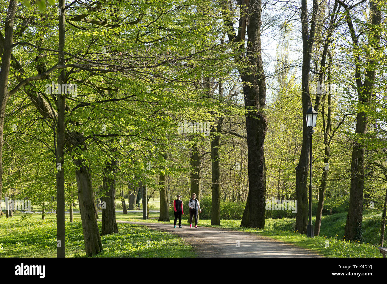 park, Wittstock/Dosse, Brandenburg, Germany Stock Photo - Alamy