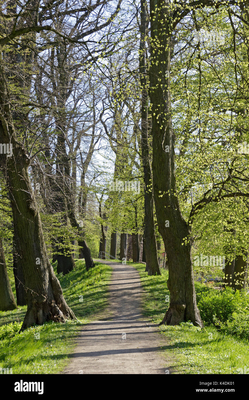 park, Wittstock/Dosse, Brandenburg, Germany Stock Photo - Alamy
