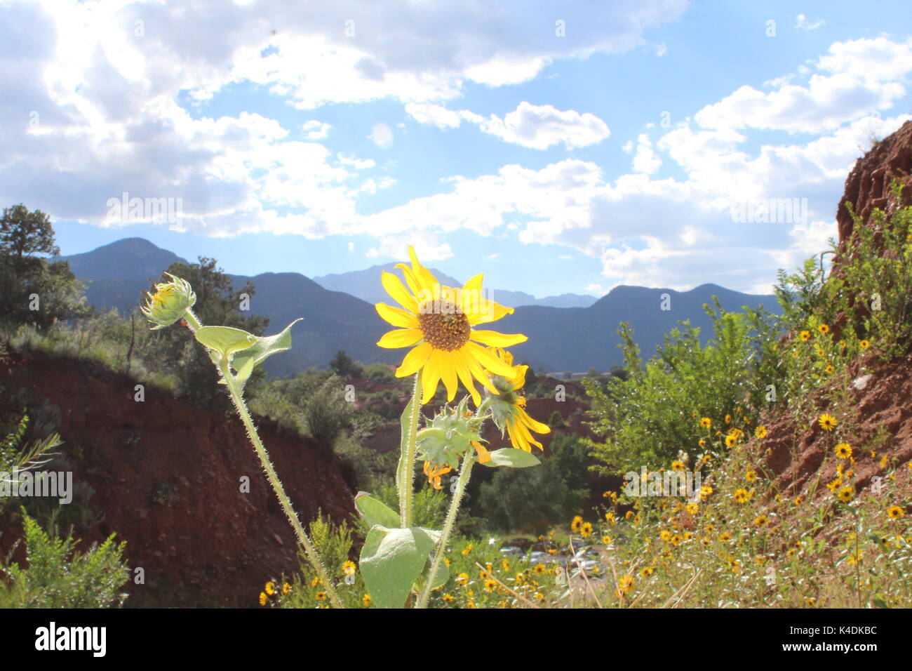 Red rocks open space hi-res stock photography and images - Alamy
