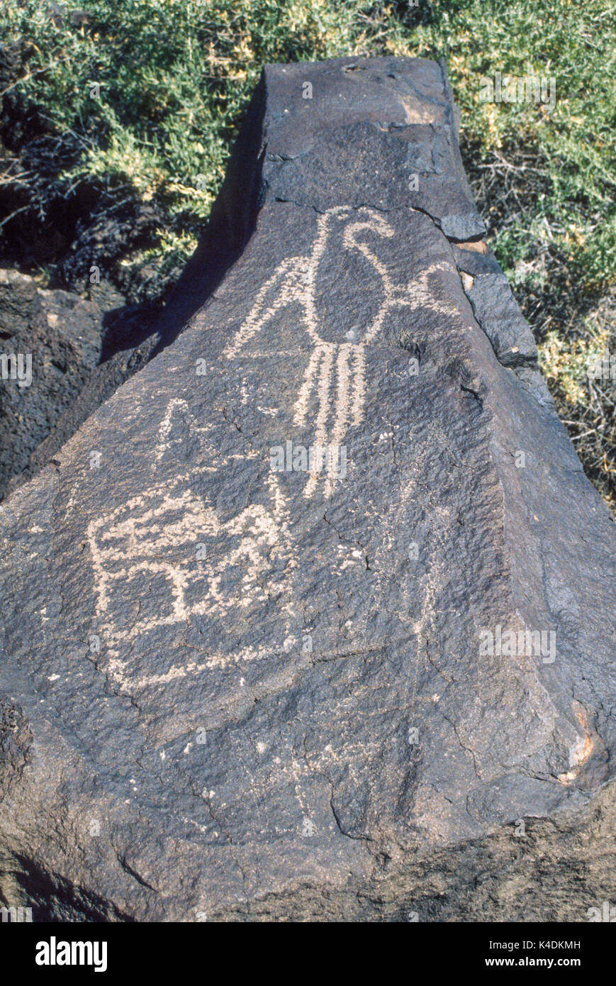 Albuquerque, New Mexico, USA Native American rock engravings are ...