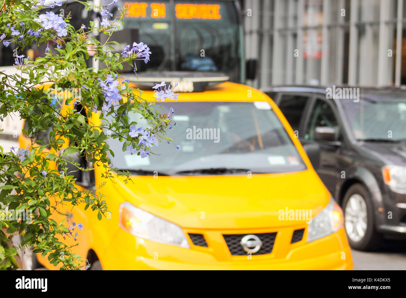 Purple taxi hi-res stock photography and images - Alamy