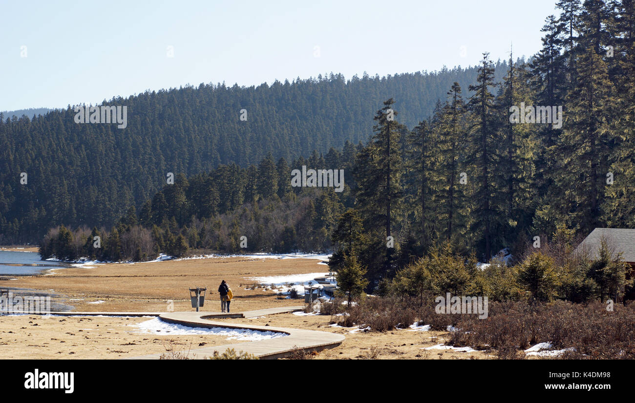 Yunnan trees hi-res stock photography and images - Alamy