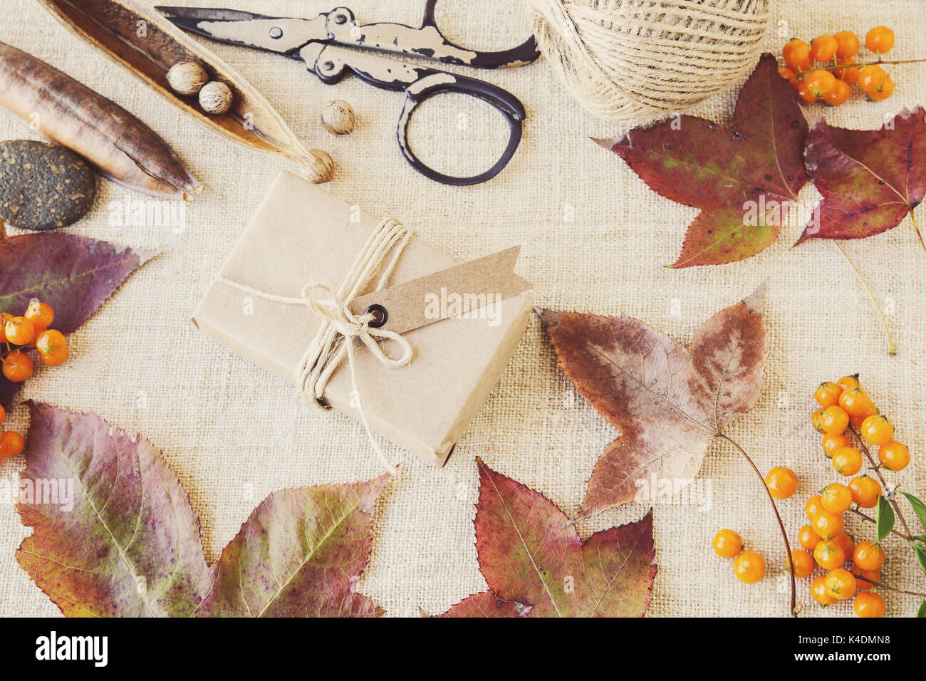 Autumn fall craft mock up setting toning background Stock Photo - Alamy