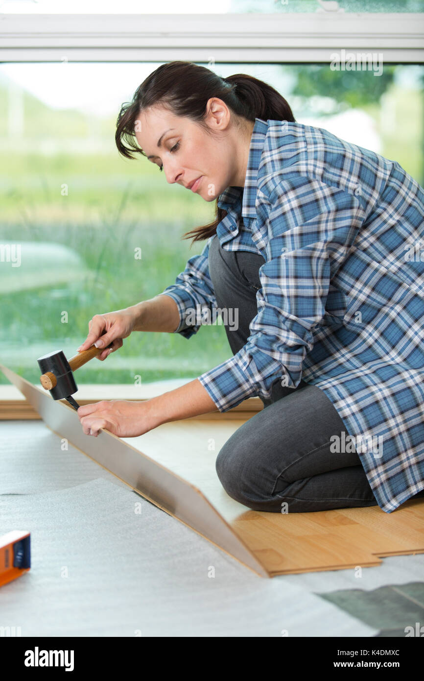 woman installing new laminate wood flooring Stock Photo - Alamy