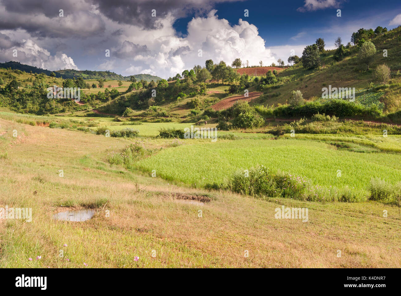 Landscape of farmland, Shan State, Burma, Myanmar, South East Asia ...
