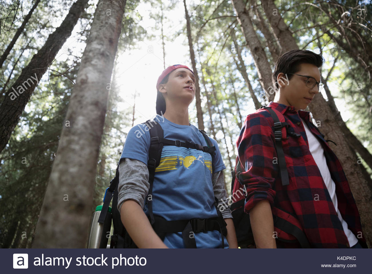Teenage outdoor school boy students hiking in woods below trees Stock ...