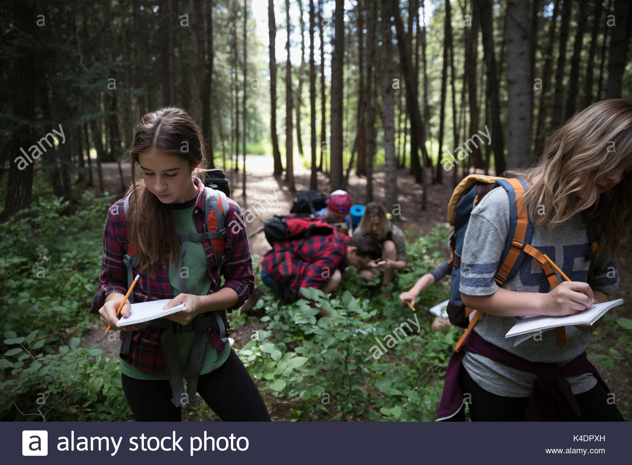 Teenage outdoor school girl students in woods taking notes in notebooks ...