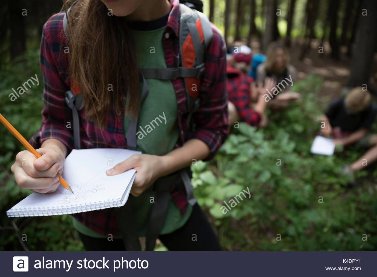 School of the woods hi-res stock photography and images - Alamy