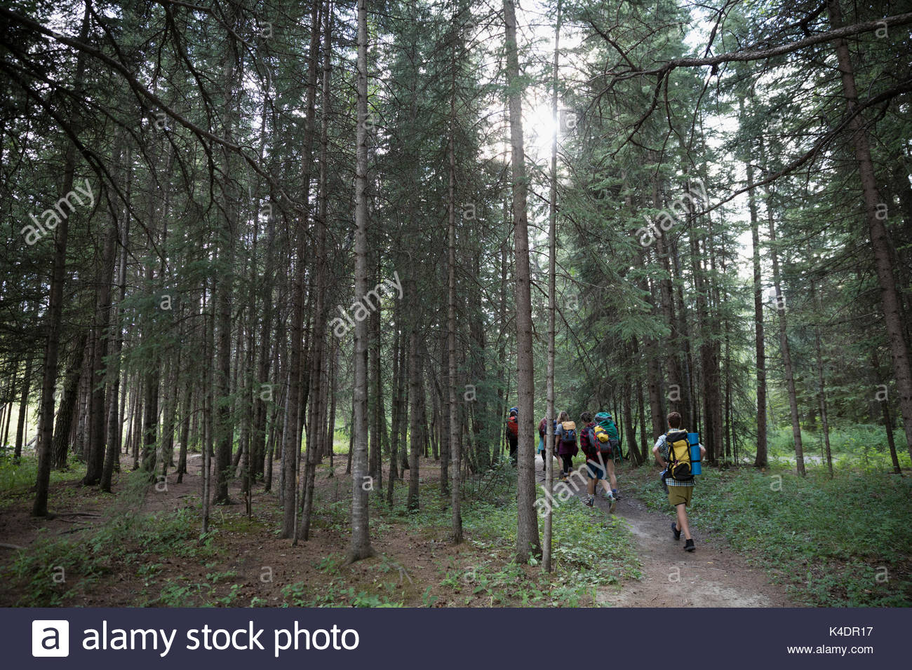 Teenager nature trail hi-res stock photography and images - Alamy