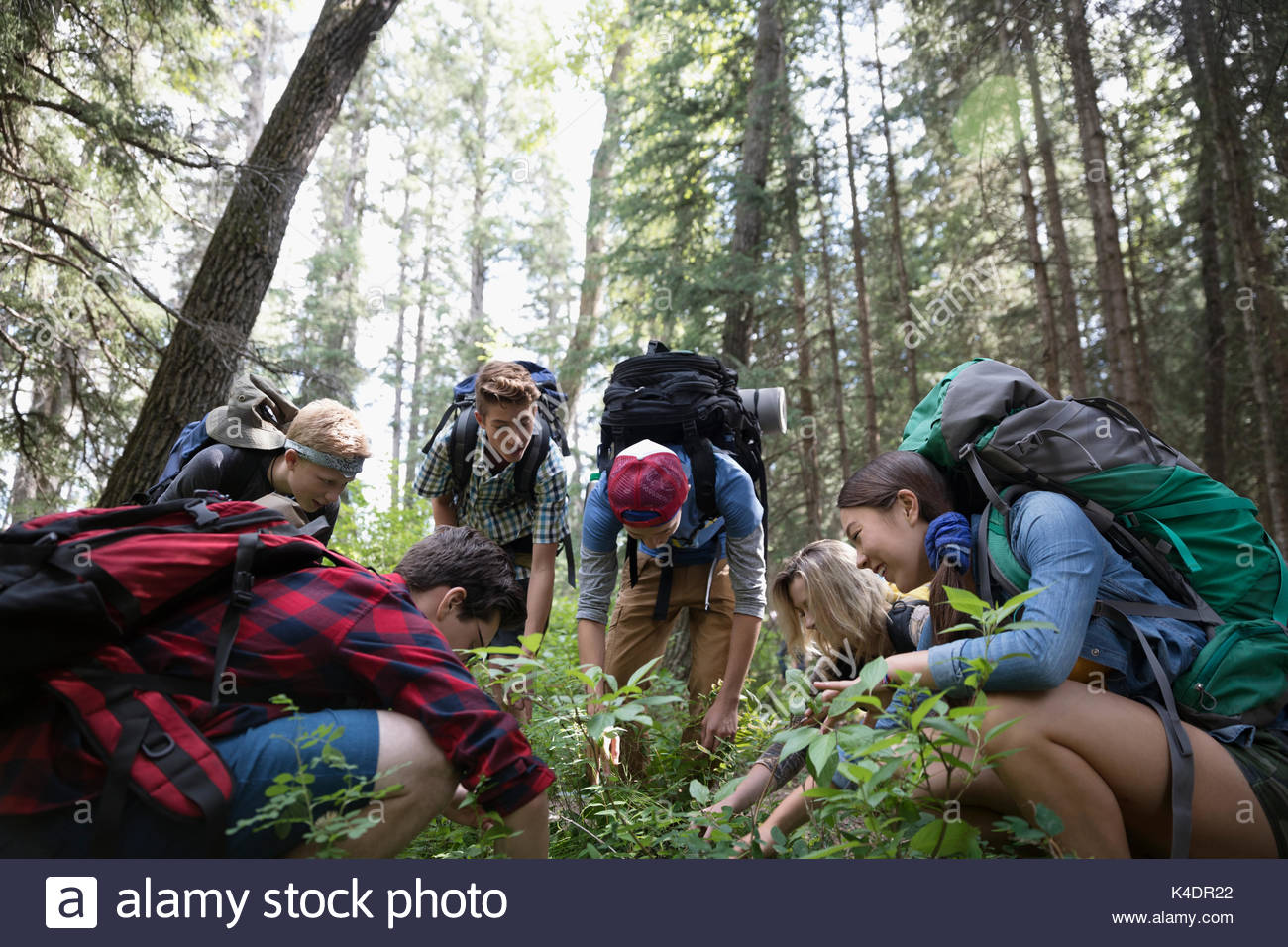 Exploring child school hi-res stock photography and images - Alamy