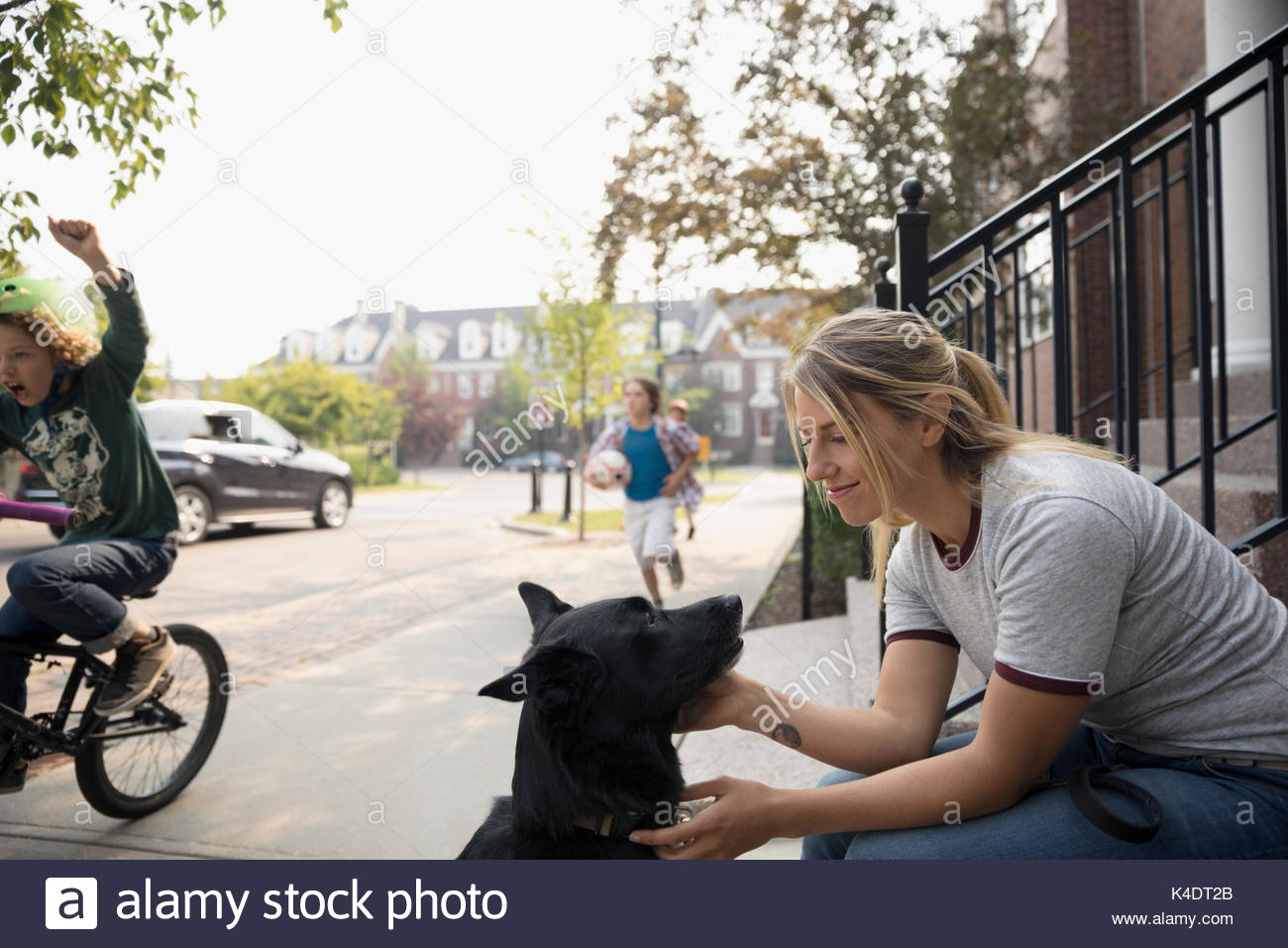 Neighborhood dog hi-res stock photography and images - Alamy