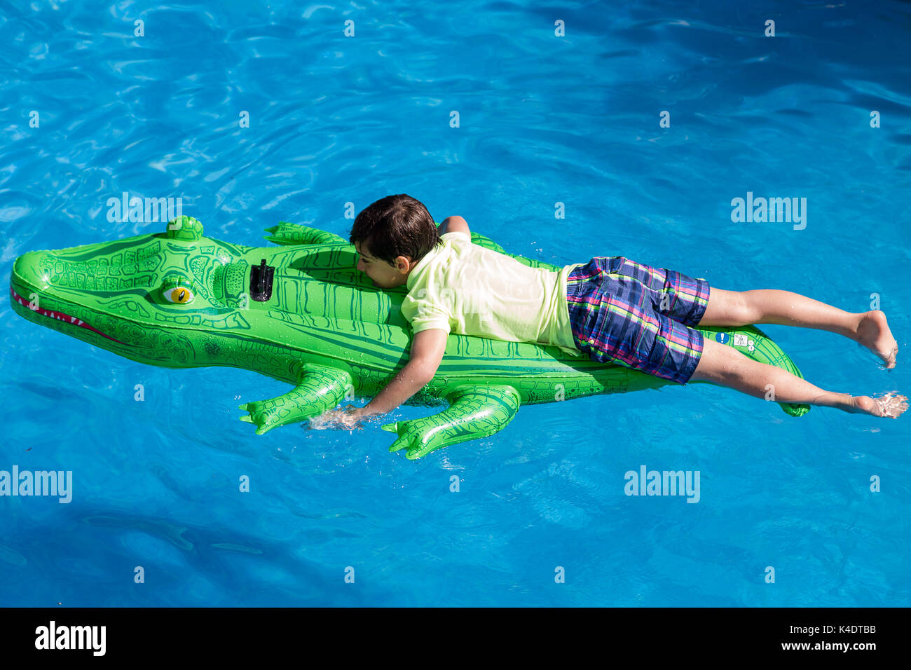 Inflatable crocodile swimming pool hi-res stock photography and images ...