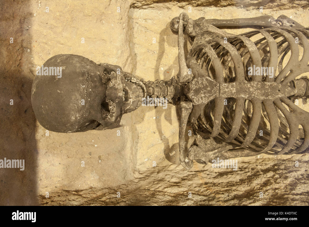 Roman Burial Skeleton Stock Photos & Roman Burial Skeleton Stock Images ...