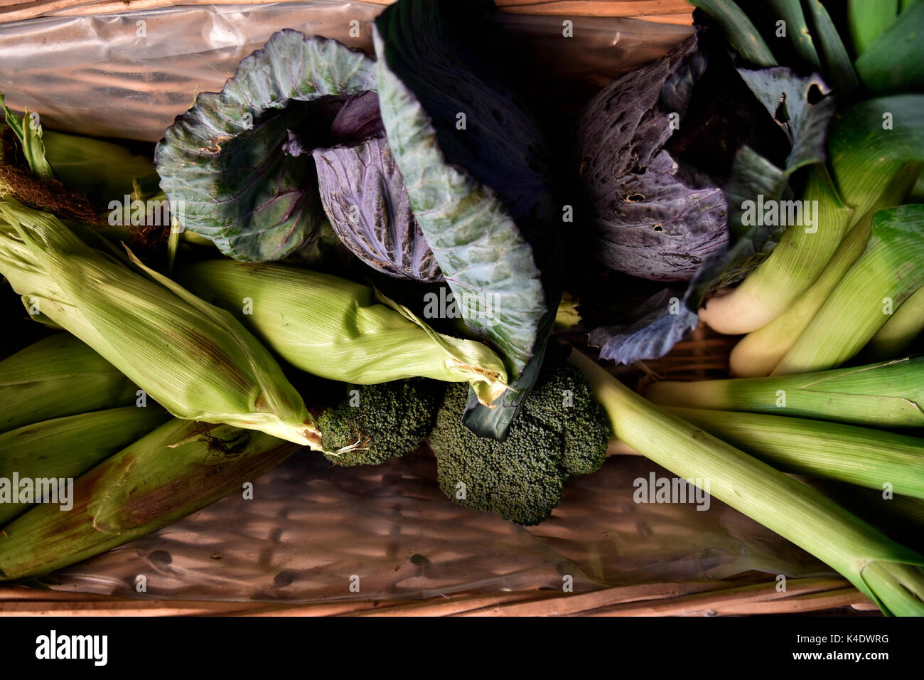 Autumn vegetables harvest on hi-res stock photography and images - Alamy